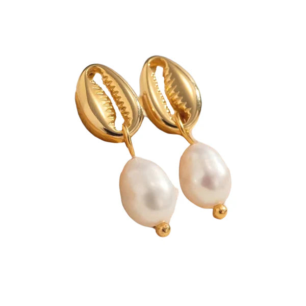 Cowrie Shell Studs – Only Options Valdosta